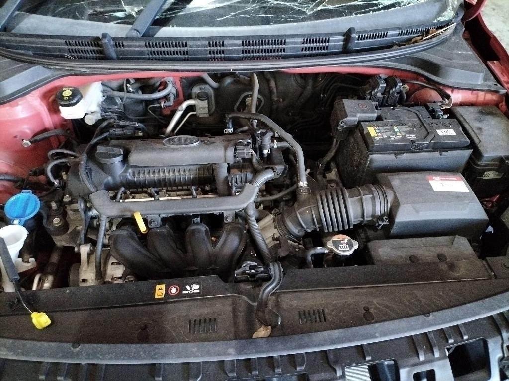 Auction Nation - KIA RIO 1.4 EX 5DR