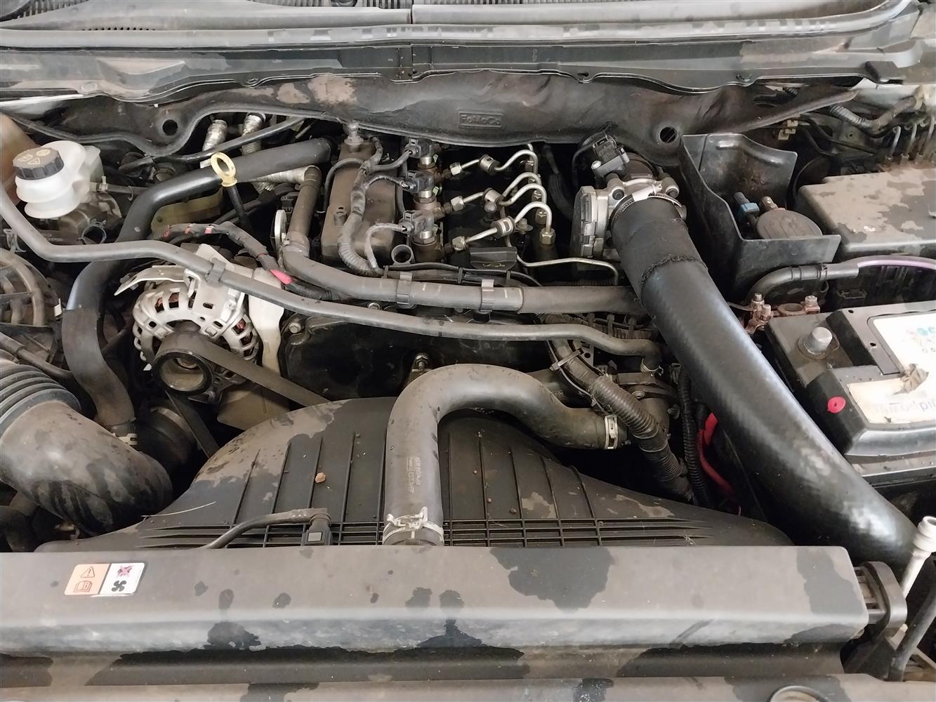 Auction Nation - FORD RANGER