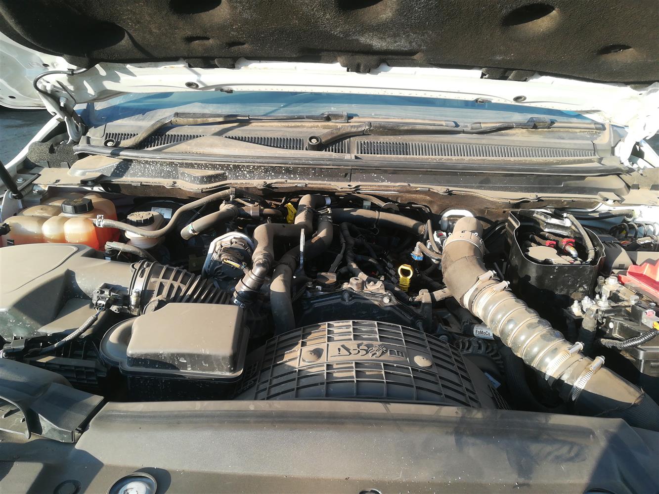 Auction Nation - FORD RANGER