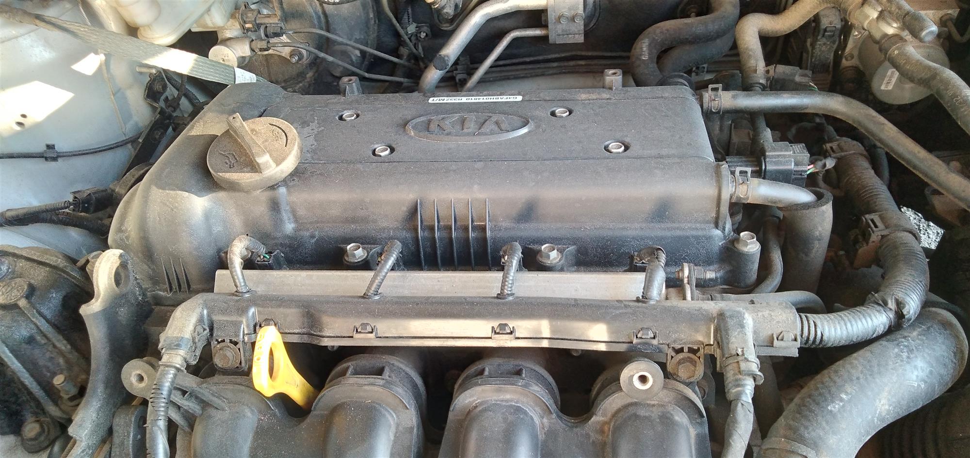 Auction Nation - Kia Rio