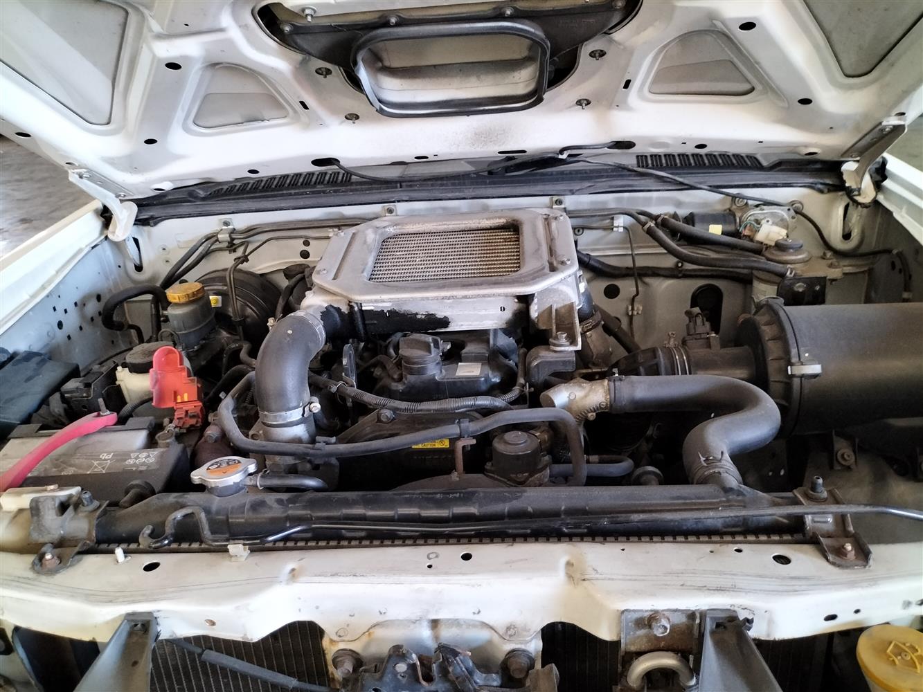 Auction Nation - Error