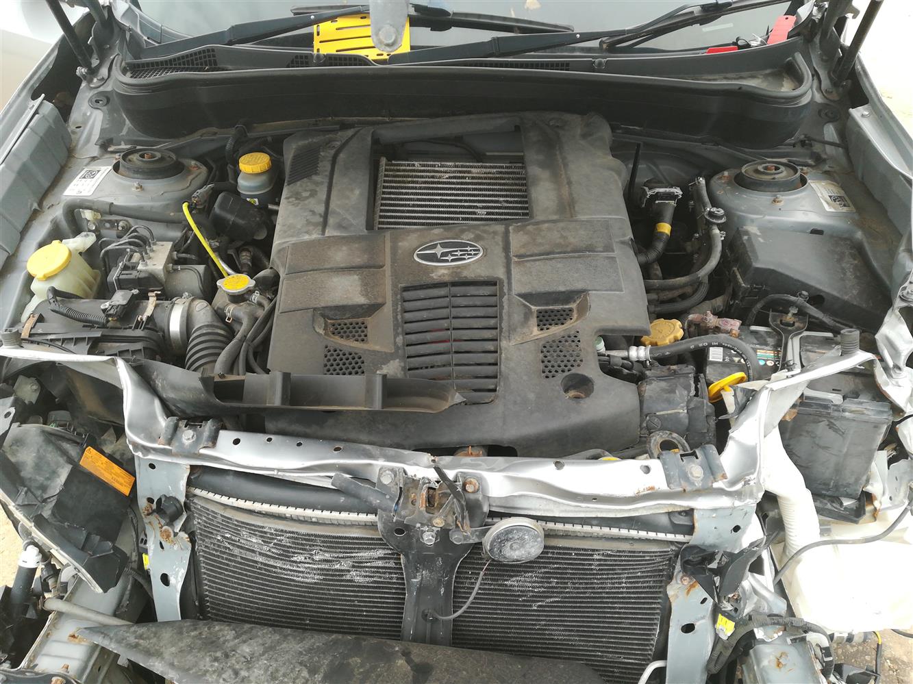 Auction Nation - SUBARU FORESTER 2.5 XT AT