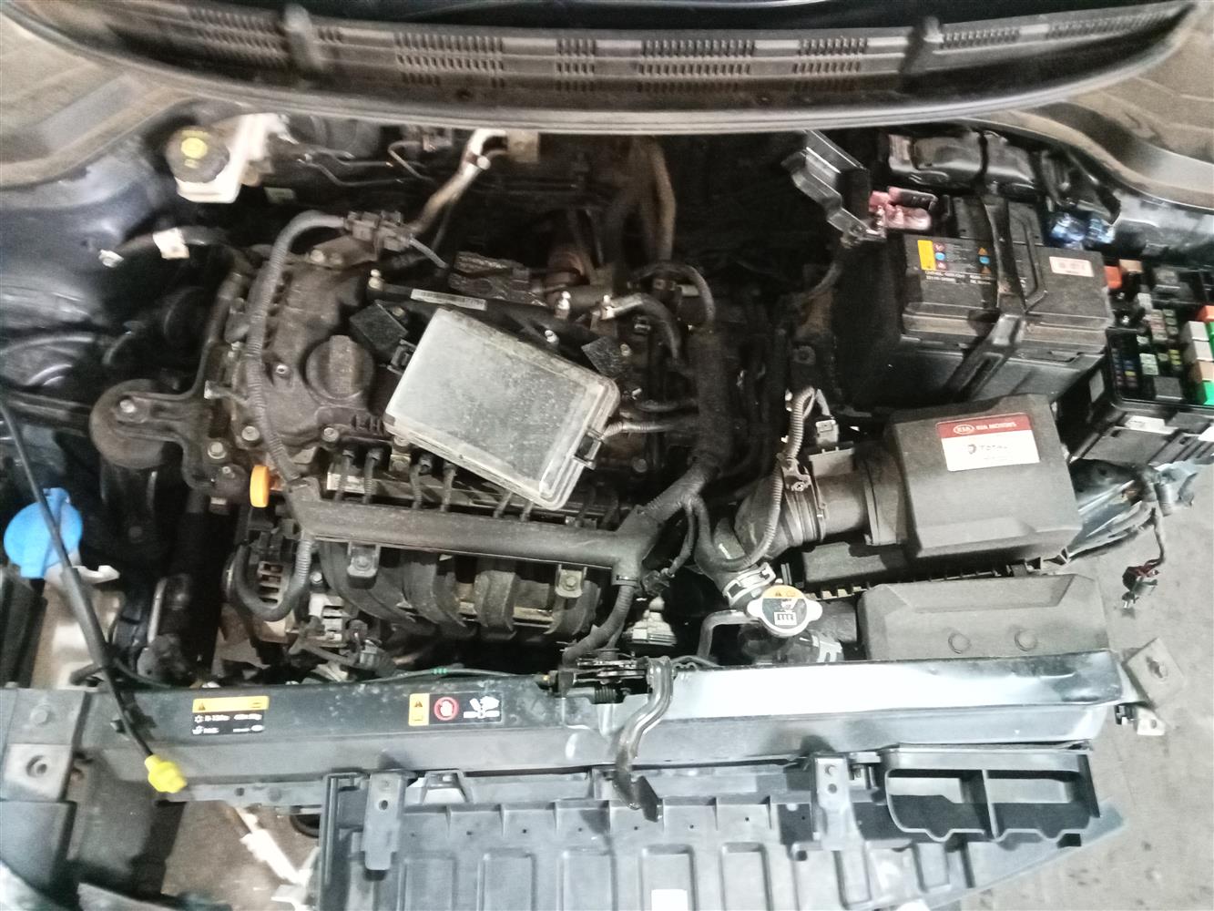 Auction Nation - KIA RIO 1.2 LS 5DR