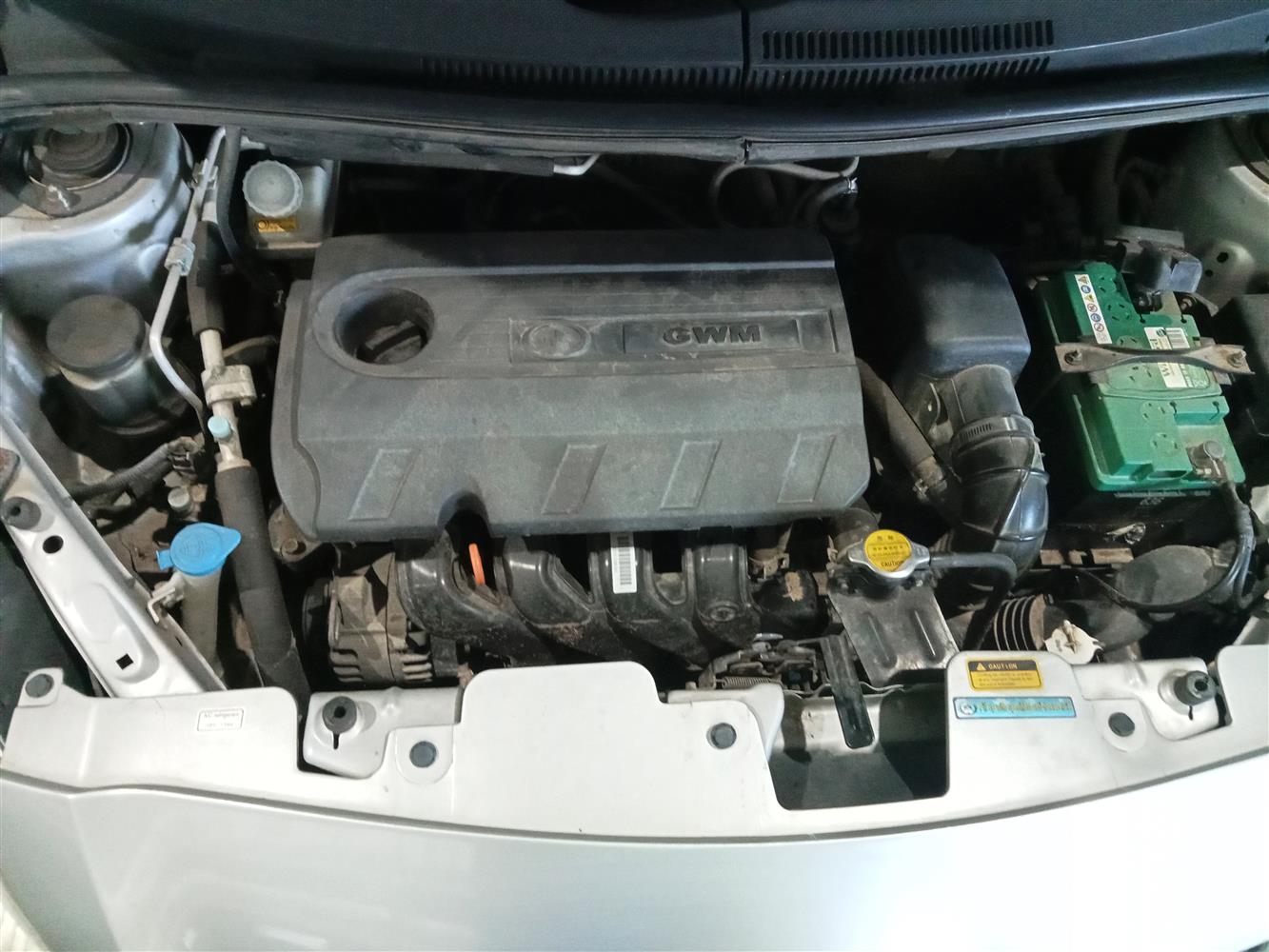 Auction Nation - GWM FLORID