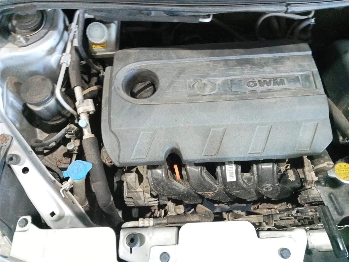 Auction Nation - GWM FLORID