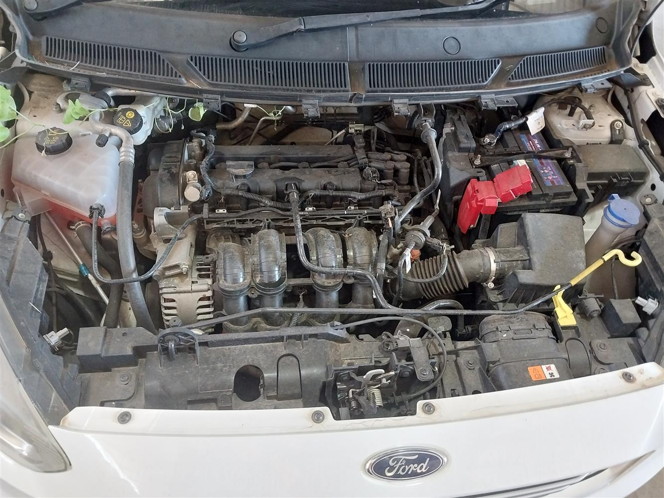 Auction Nation - FORD FIGO