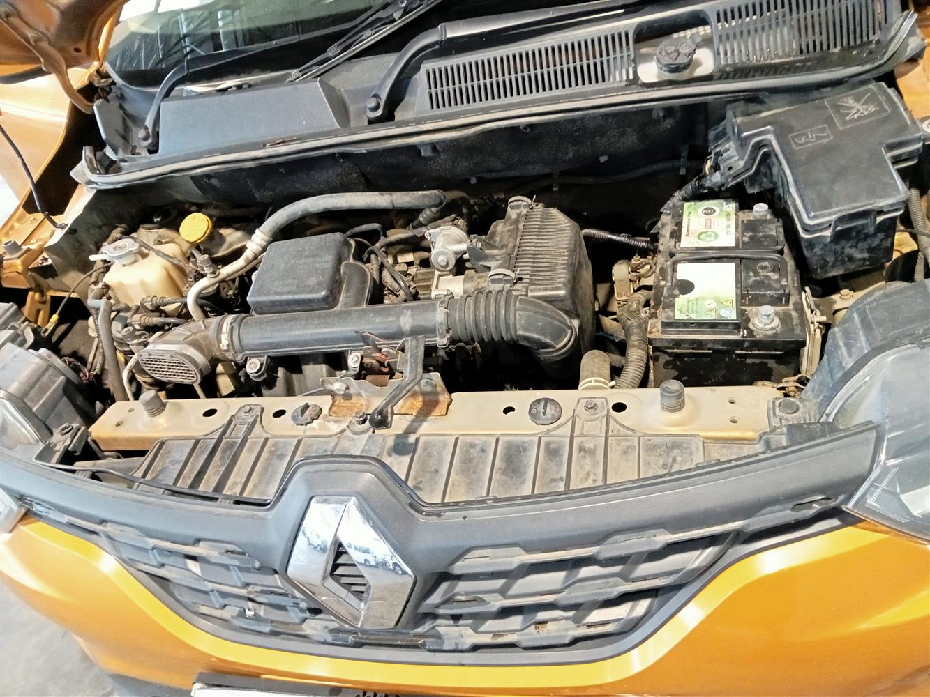 Auction Nation - RENAULT TRIBER