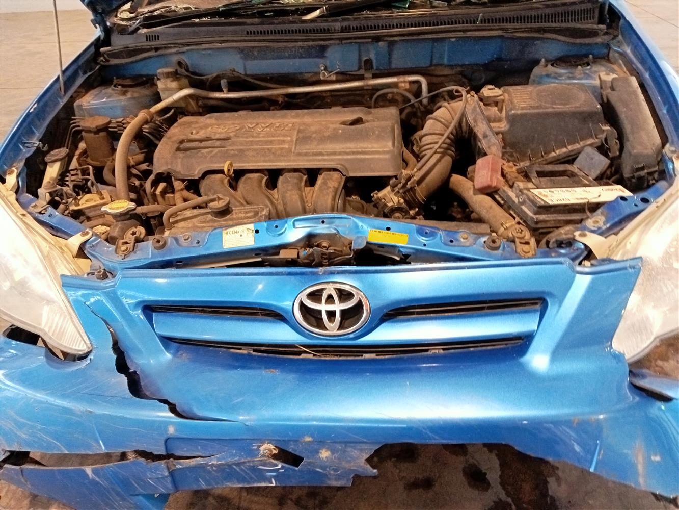 Auction Nation - TOYOTA RunX