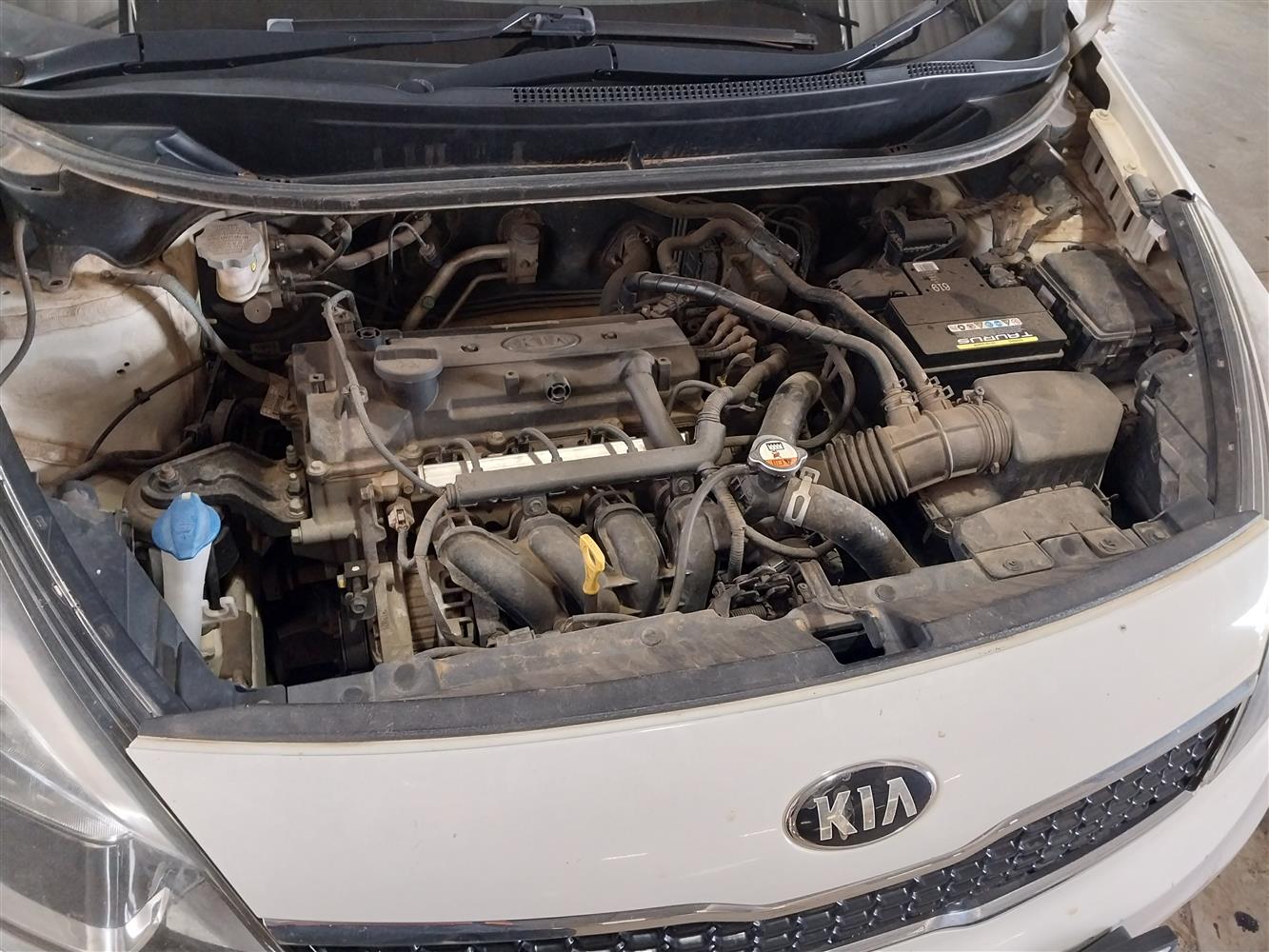 Auction Nation - KIA RIO1.2 (4DR)