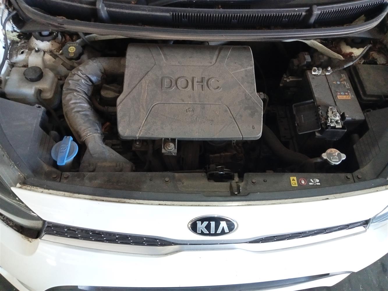 Auction Nation - KIA PICANTO 1.0 START