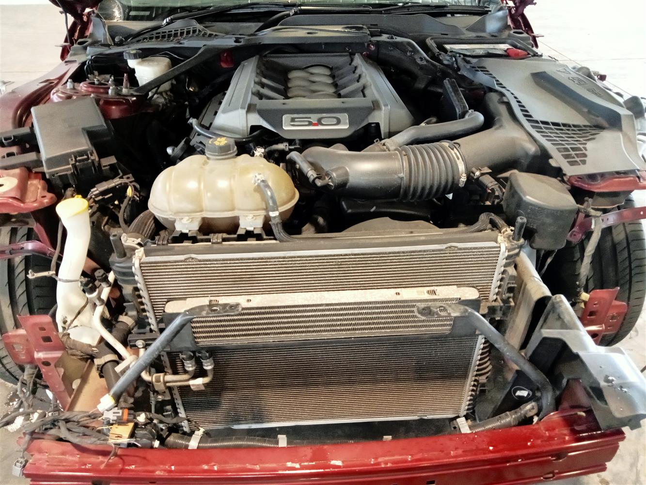 Auction Nation - FORD MUSTANG 5.0