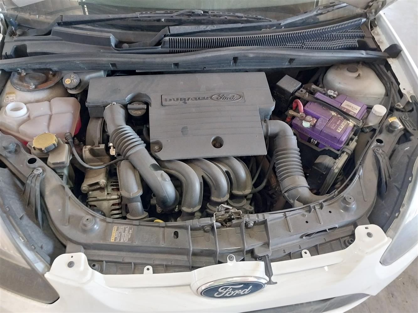 Auction Nation - FORD FIGO