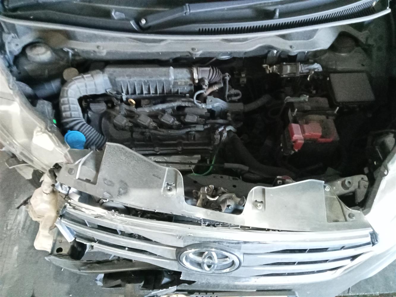 Auction Nation - TOYOTA RUMION