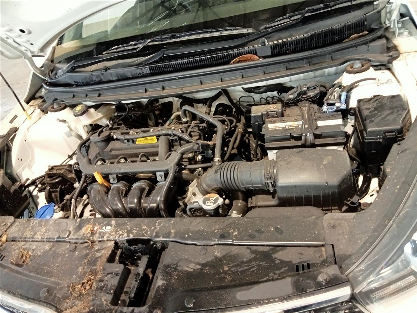 Auction Nation - KIA PEGAS