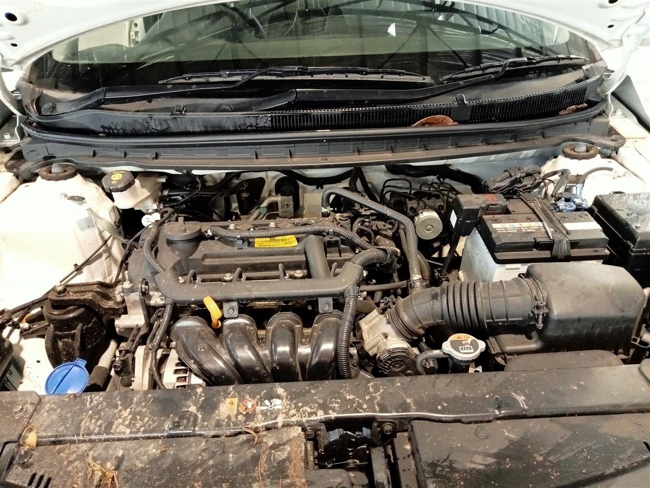 Auction Nation - KIA PEGAS