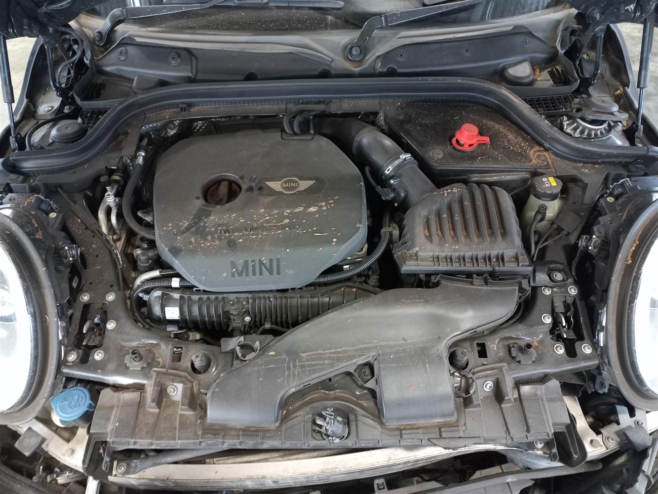 Auction Nation - MINI COOPER S