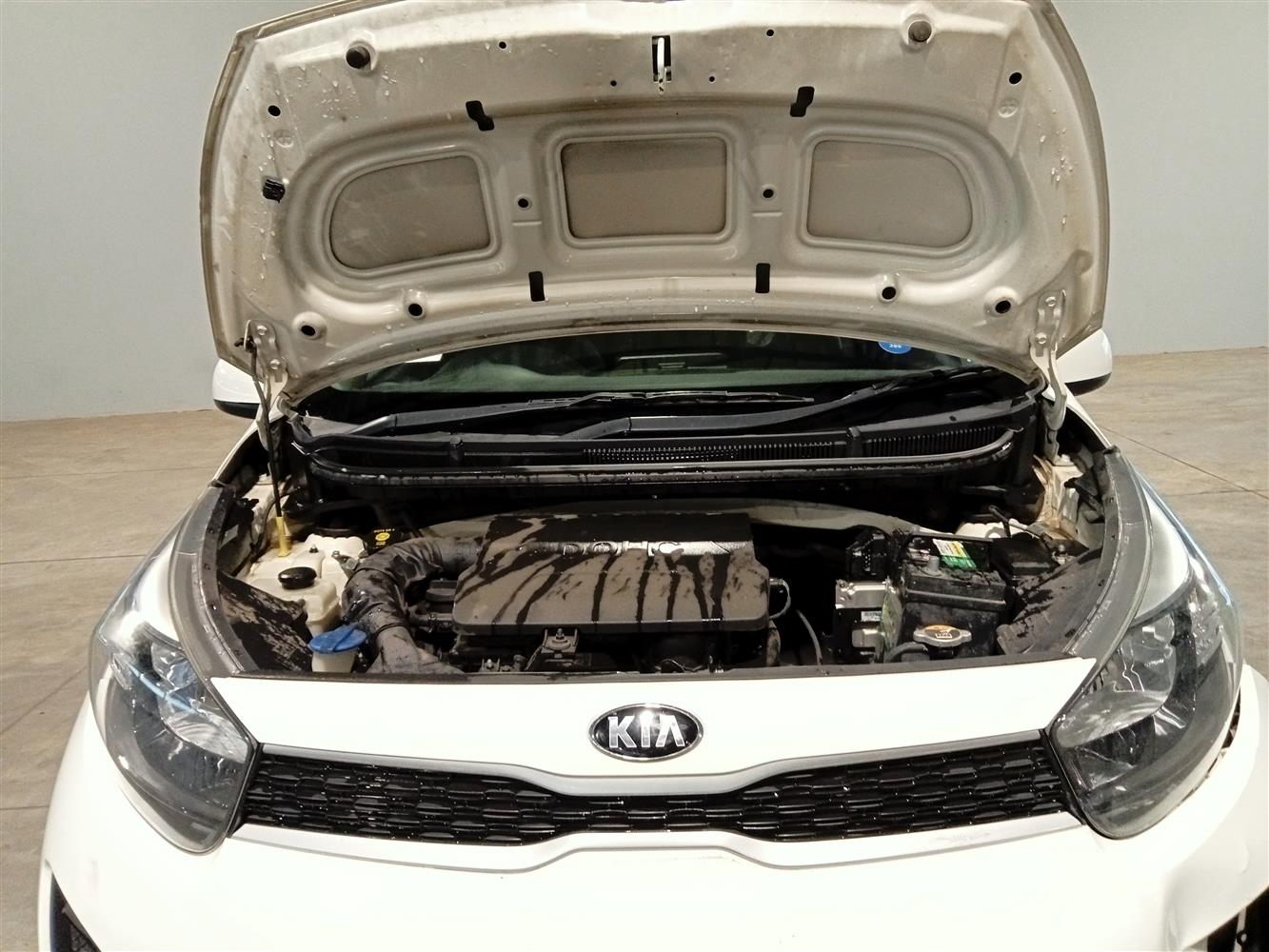 Auction Nation - KIA PICANTO