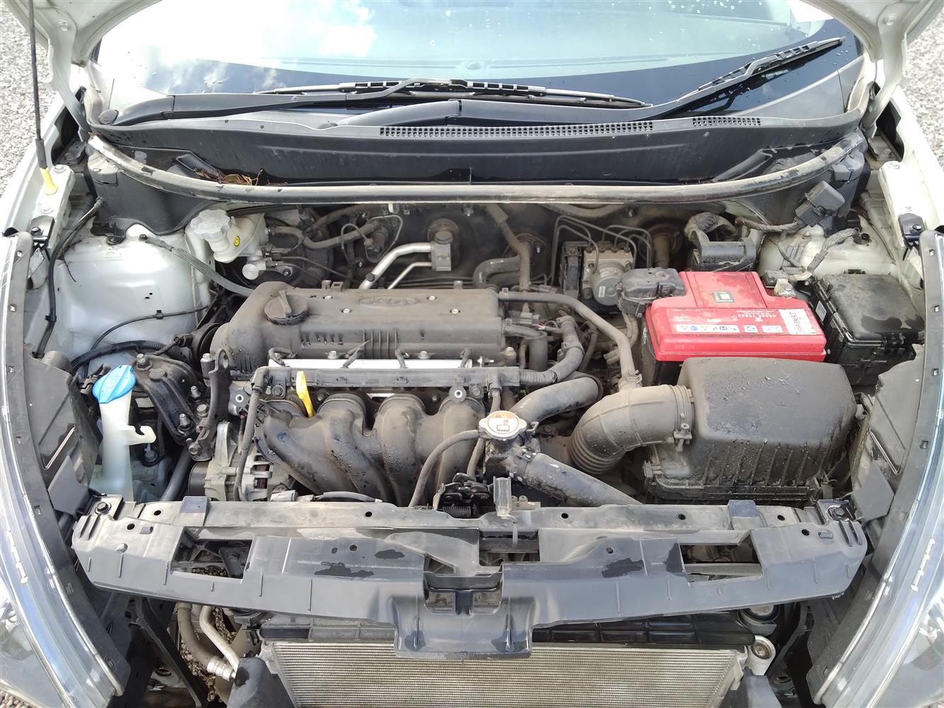 Auction Nation - KIA RIO 1.4 TEC 5DR