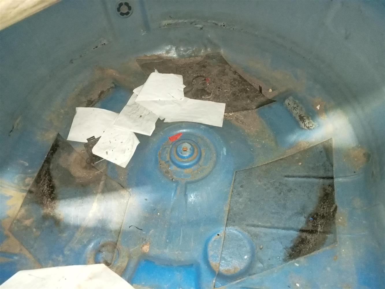 Auction Nation - VW polo