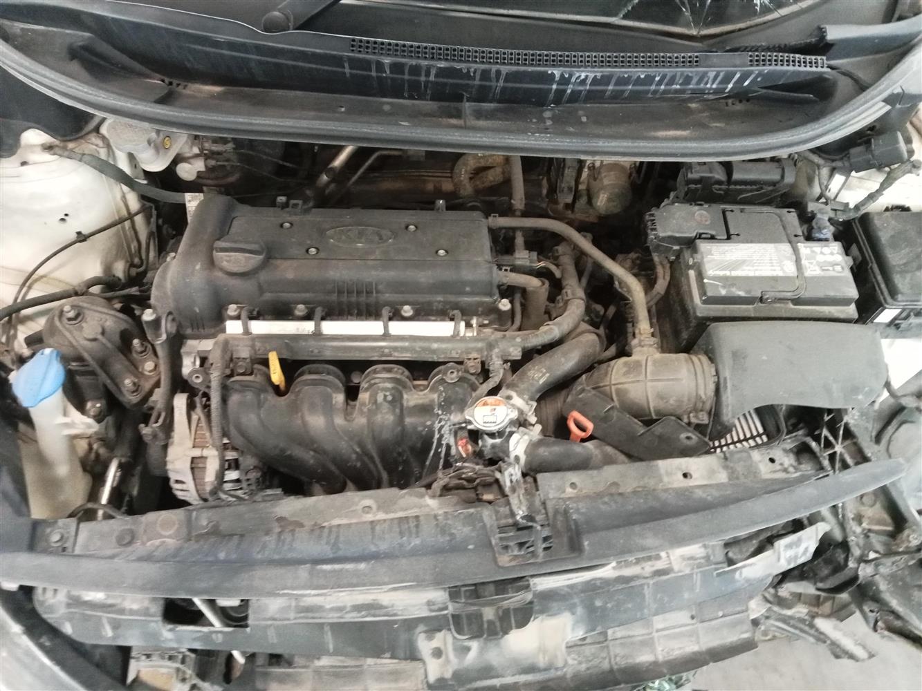 Auction Nation - KIA RIO 1.4 TEC