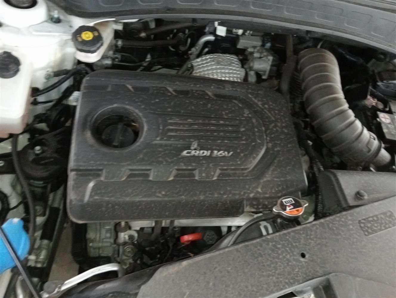 Auction Nation - KIA SELTOS 1.5D EX